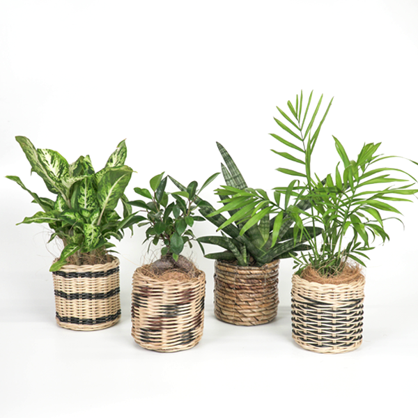 uncle-b ONLINE STORE / 【uncle-b】プランターカバー